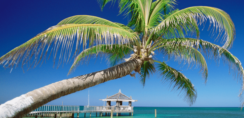Roatan Residential Real Estate - Best Roatan Real Estate